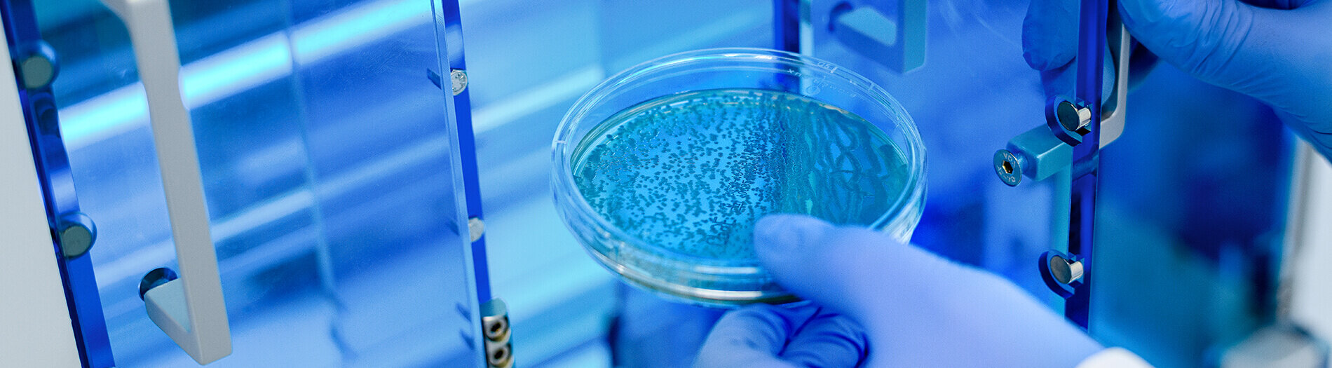 Labor Becker | Ihre Einstiegsmöglichkeiten